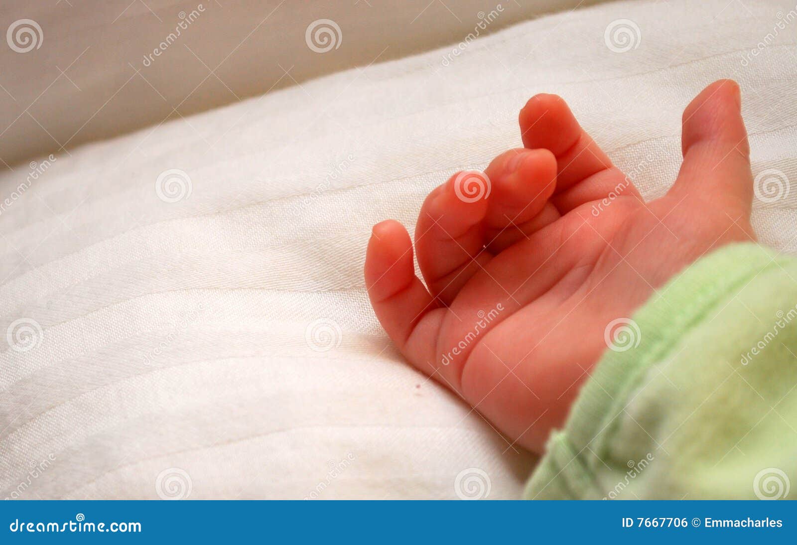 Babies open hand stock photo. Image of sweet, sleeping - 7667706