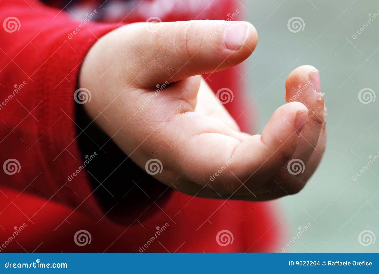 Babies open hand stock photo. Image of baby, outstretched - 9022204