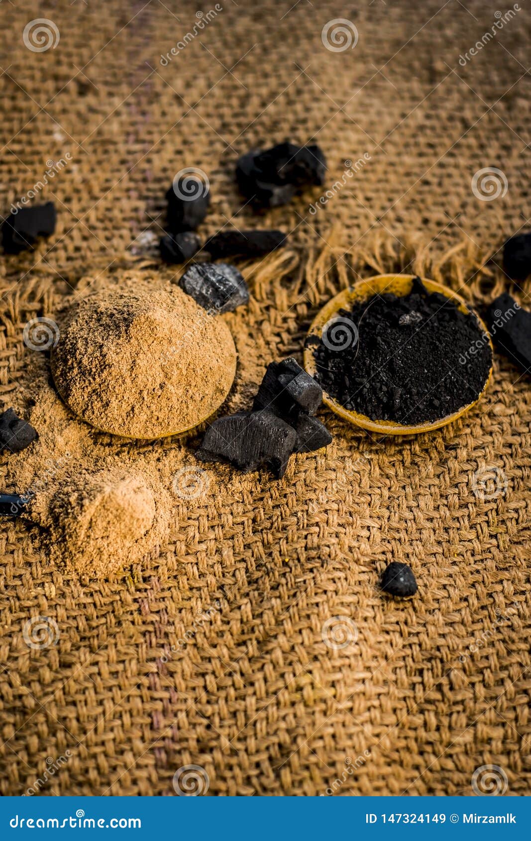 Babool Fruit,Vachellia Nilotica or Gum Arabic Tree with Coal and Its ...