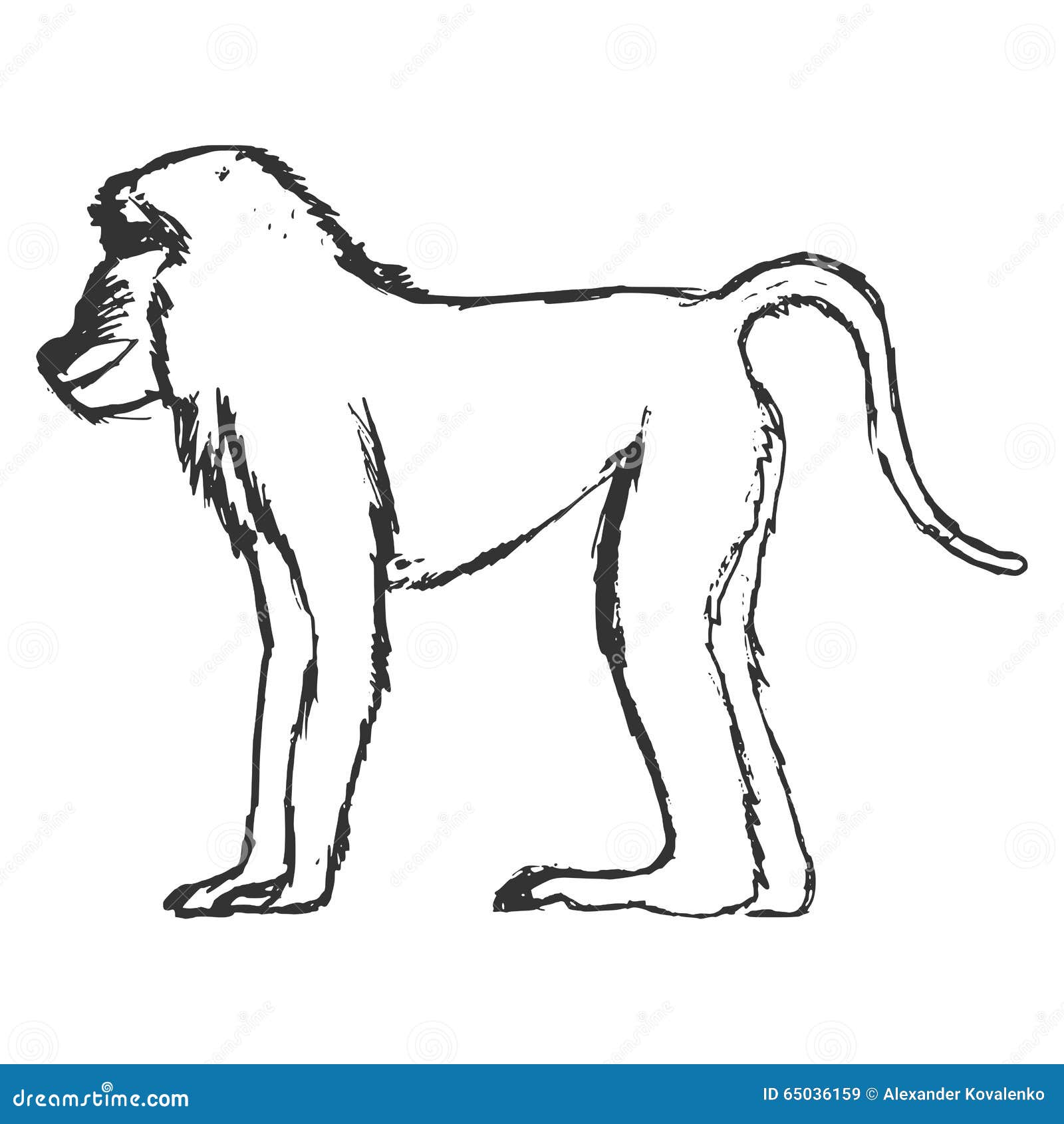 Baboon stock vector. Illustration of africa, running - 65036159