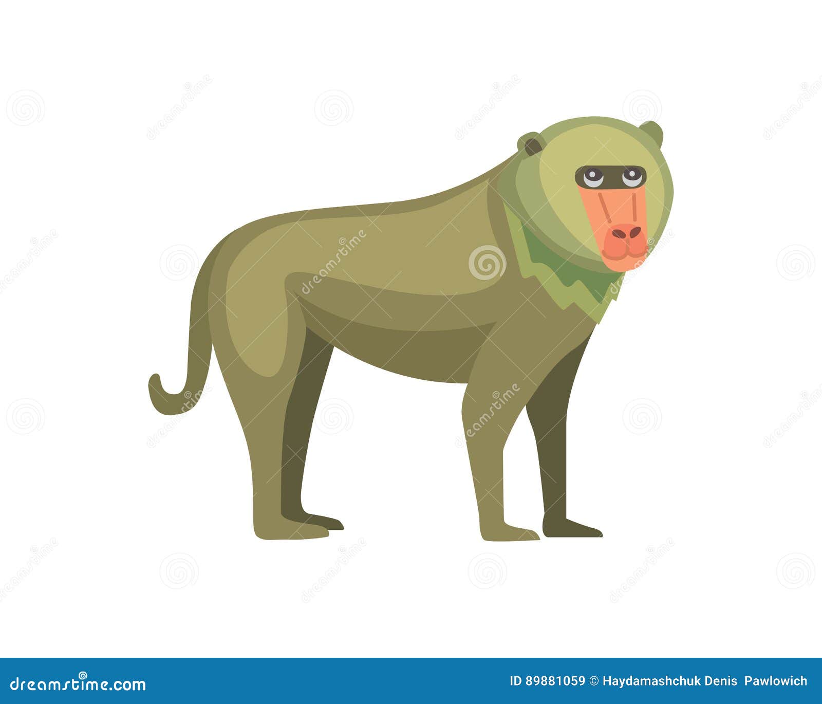 Baboon Monkey Cartoon Illustration. Wildlife of Africa Stock Vector ...