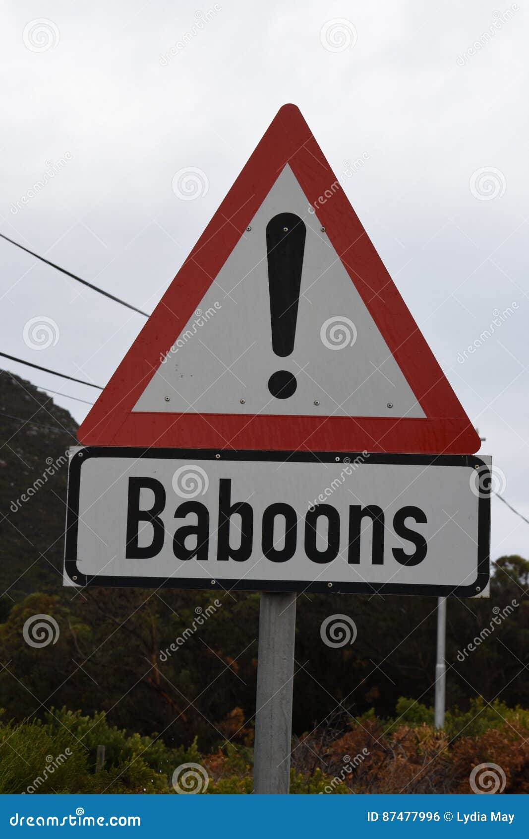 Baboon warning sign stock photo. Image of africa, african - 87477996