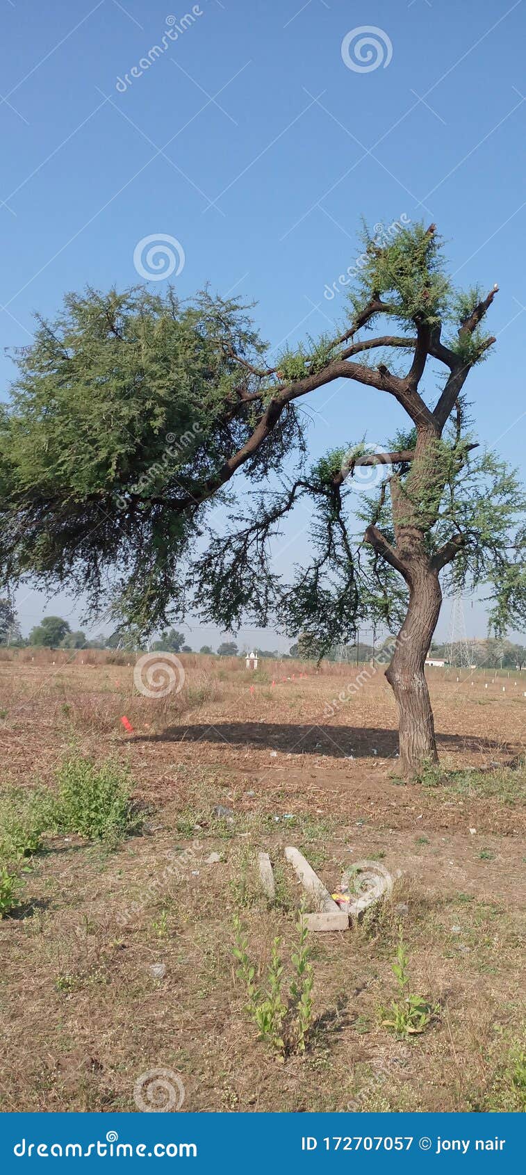 Royalty Free Images, Cartoons, Illustrations And Photos Designed By ...