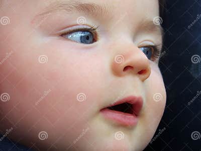 Baby 1 stock image. Image of expression, child, childhood - 237575