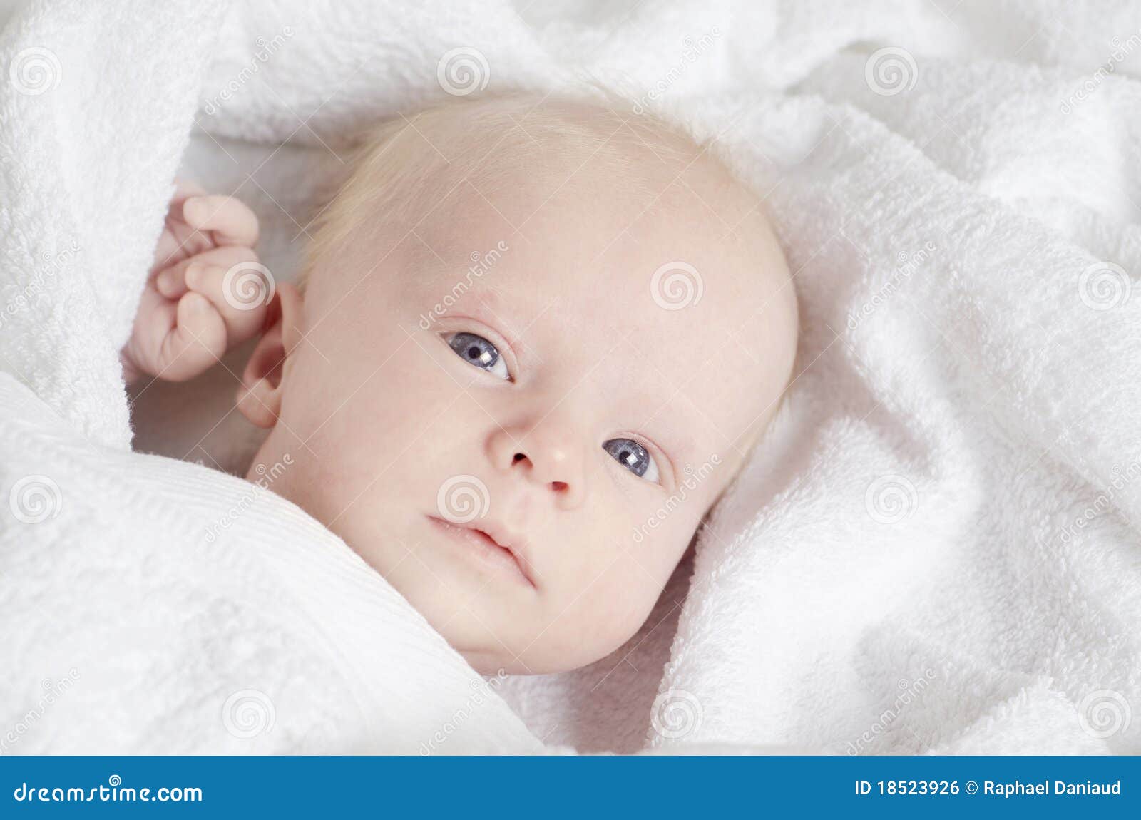 Baby stock photo. Image of small, innocent, portrait - 18523926