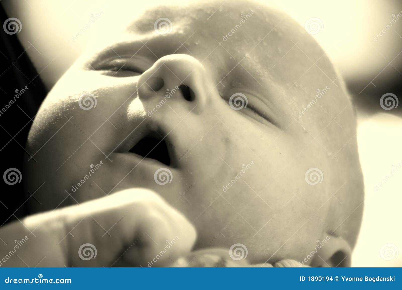 Baby stock photo. Image of little, sleep, baby, sweet - 1890194