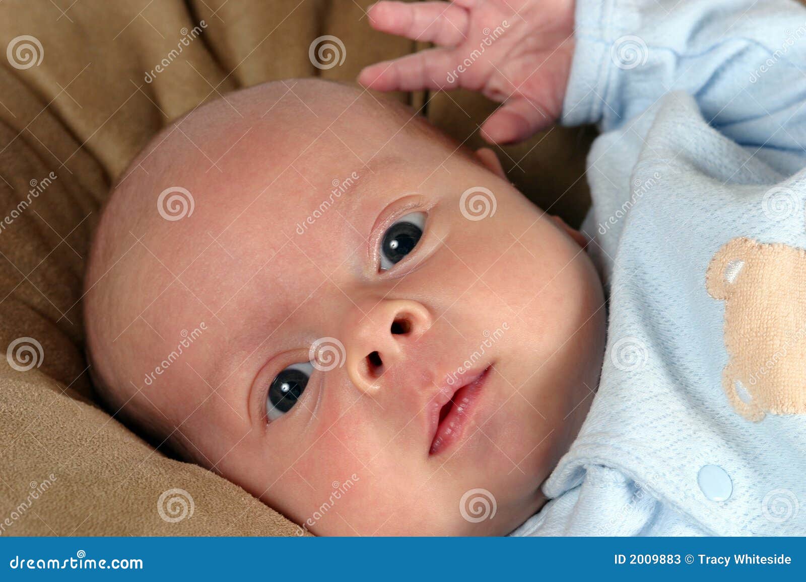 Baby stock image. Image of beautiful, fresh, face, healthy - 2009883