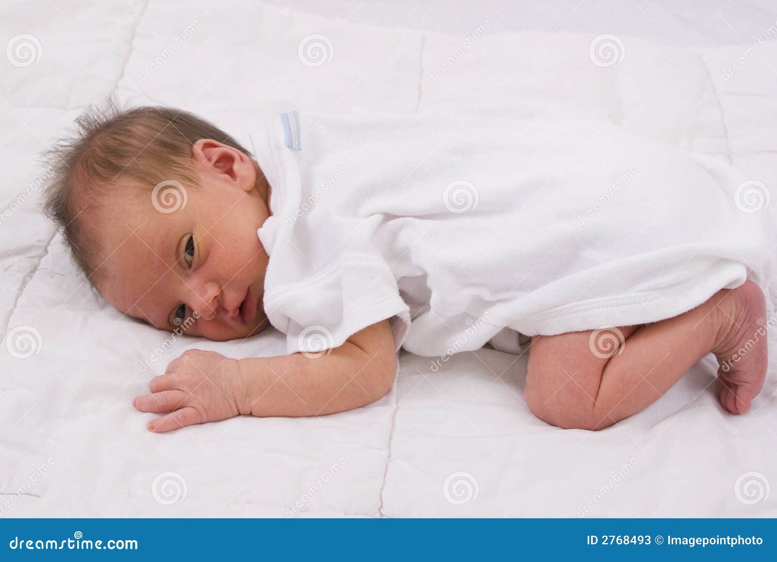 Baby stock image. Image of neonate, cute, baby, innocence - 2768493