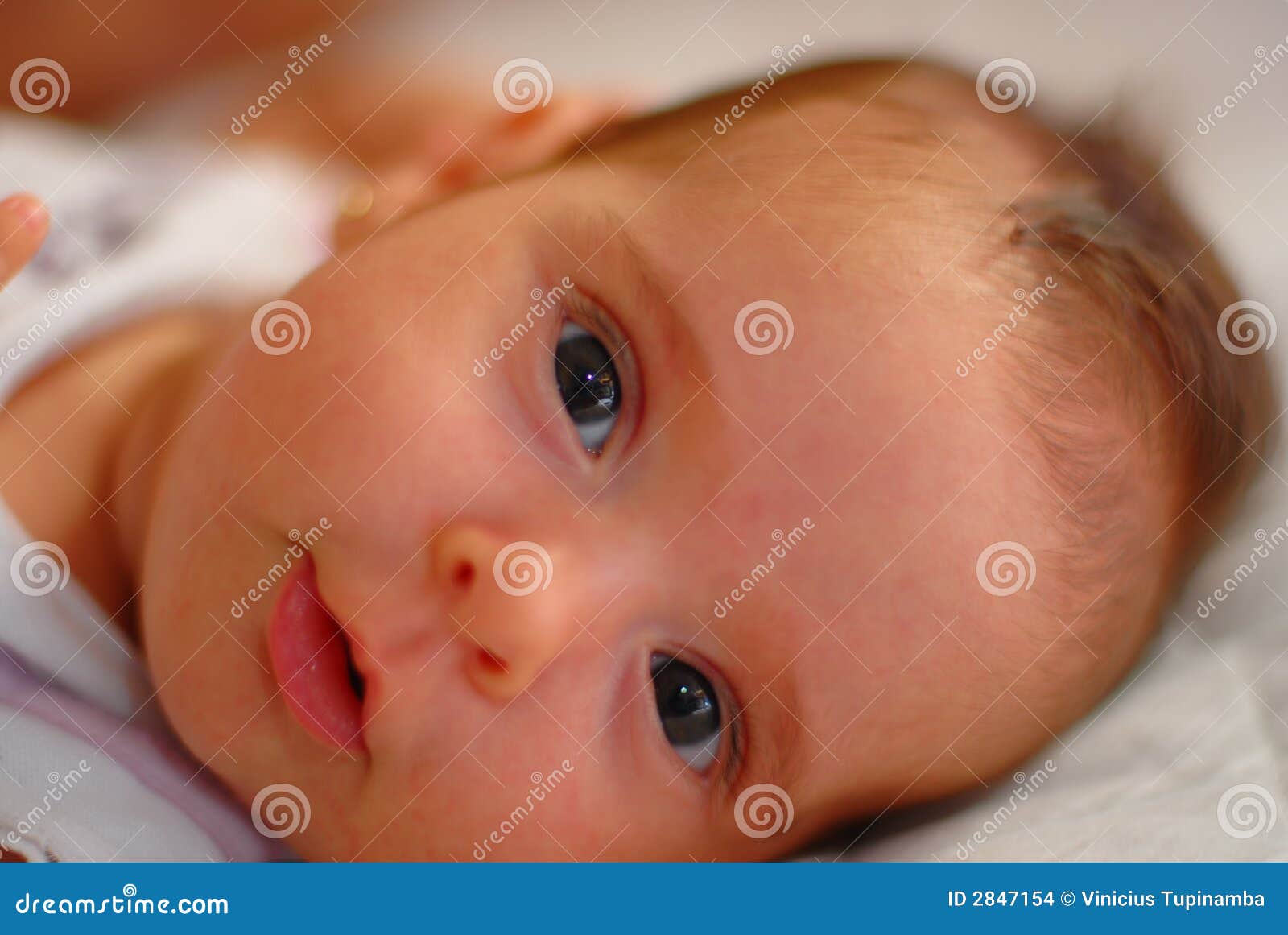 Baby stock photo. Image of sweet, gorgeous, born, eyes - 2847154
