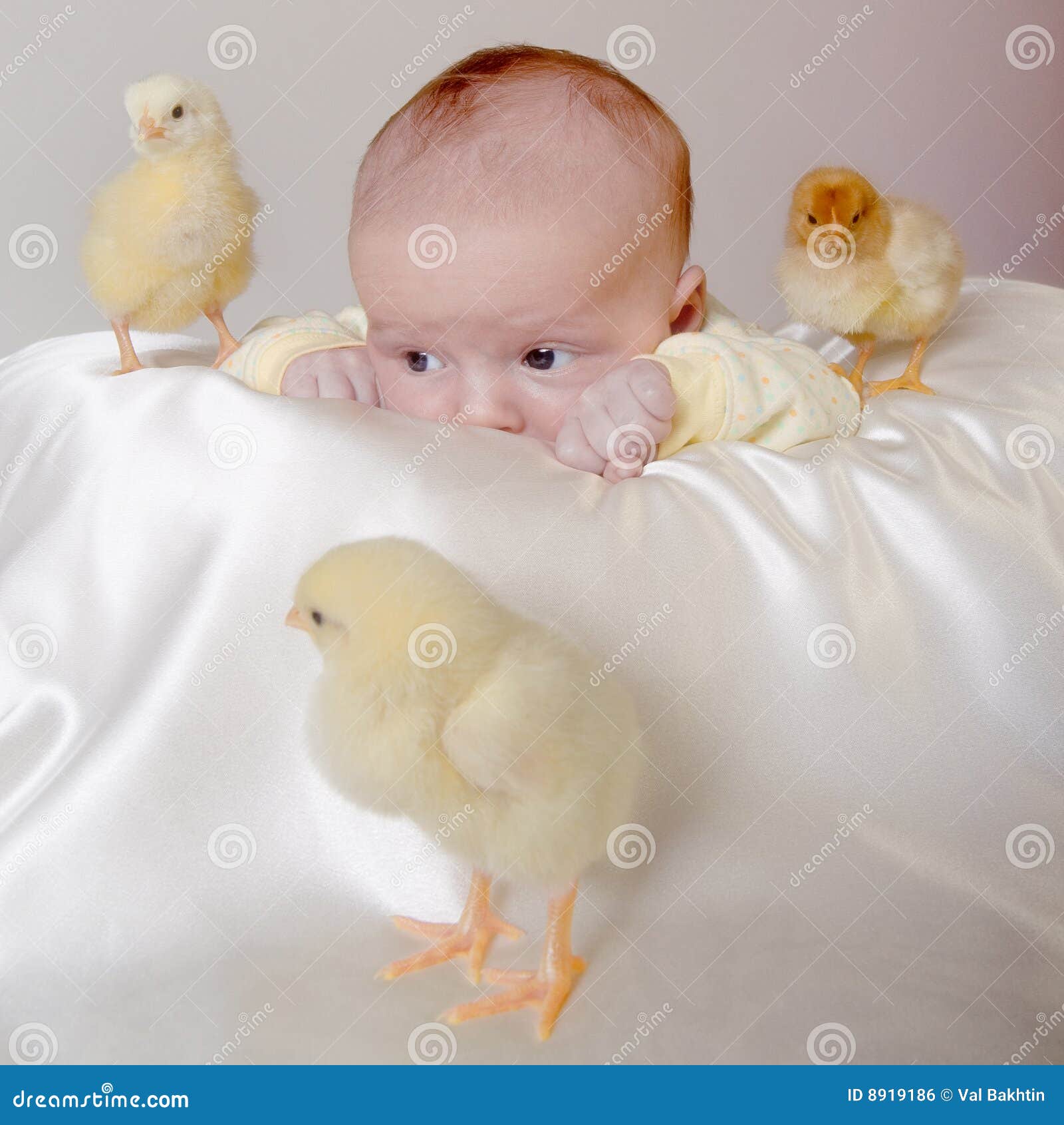 Baby and 3 chicken stock photo. Image of trust, fragility - 8919186
