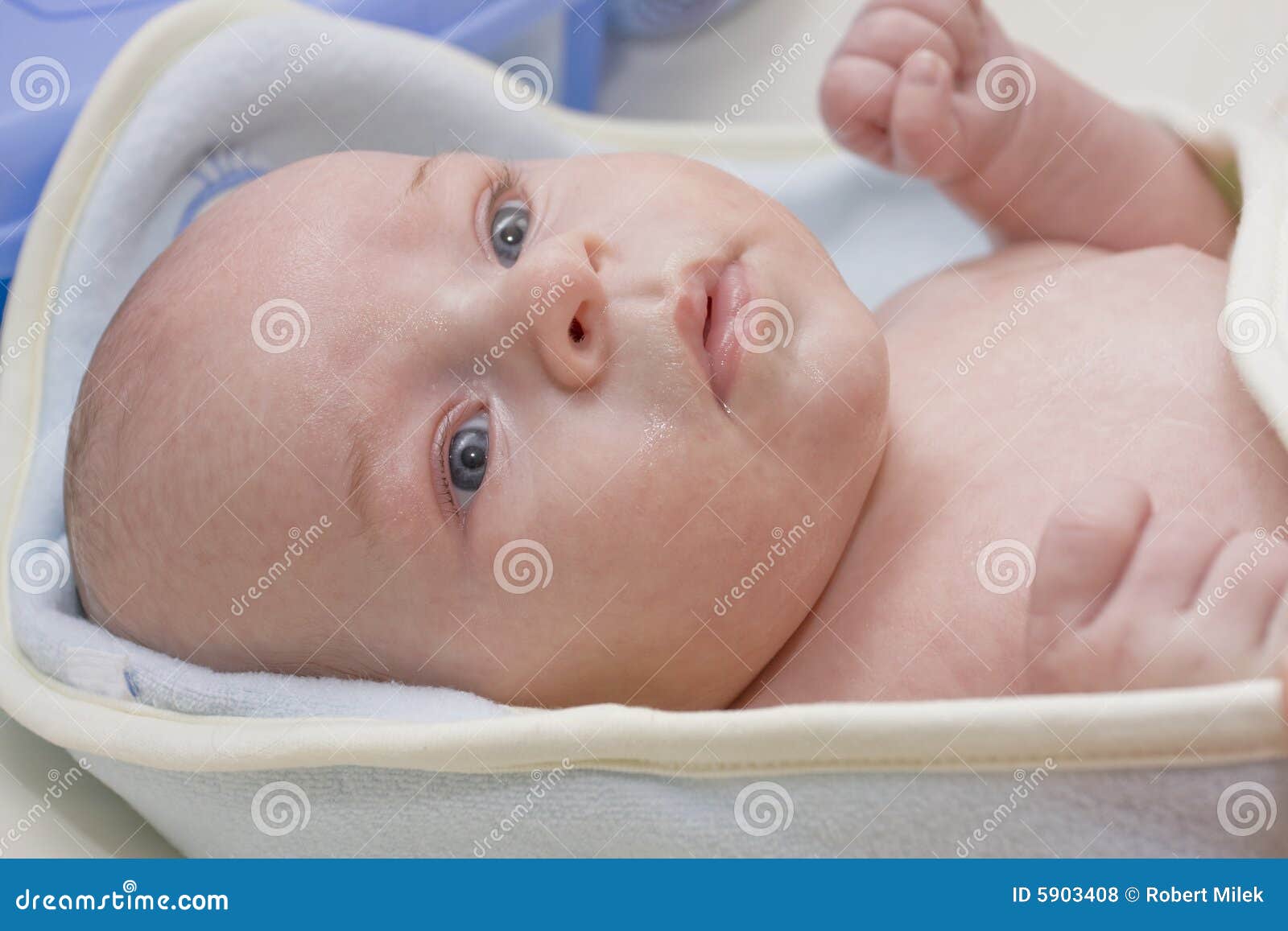 Baby stock photo. Image of youth, little, human, born - 5903408