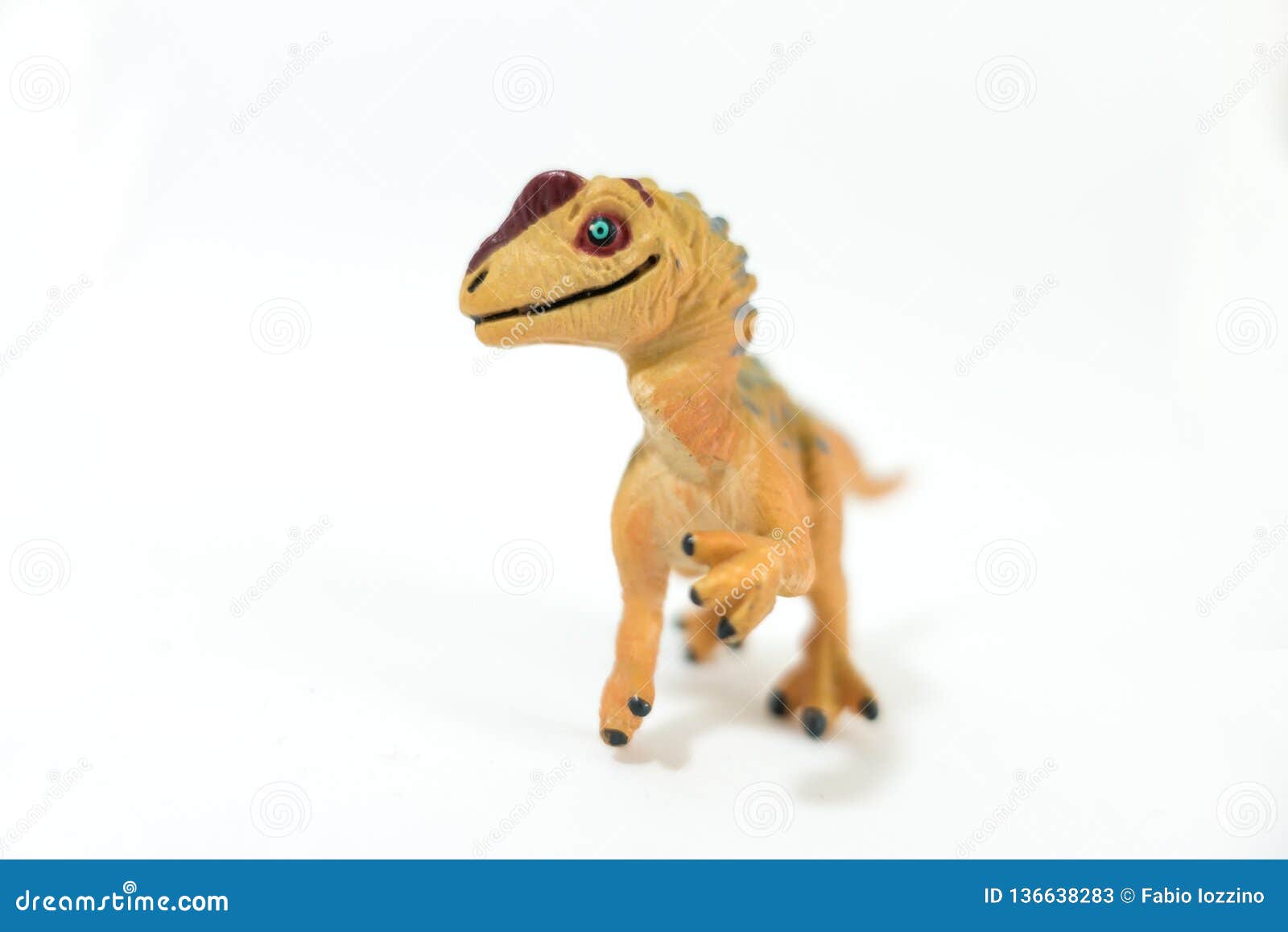 Baby Allosaurus on White Background Stock Image - Image of cute, battle ...