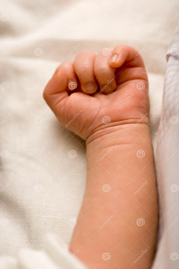 Baby Arm stock photo. Image of hand, innocent, young, care - 1567100