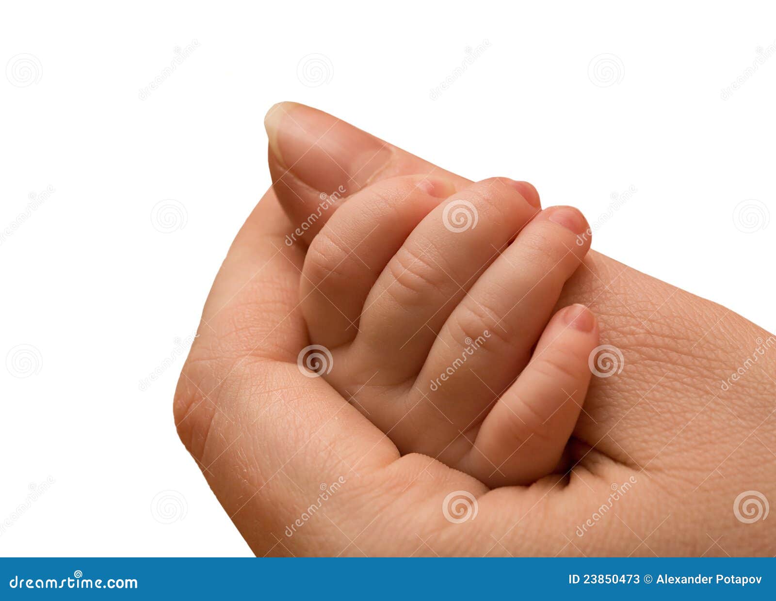Baby Arm in Mother Hand on White Stock Image - Image of baby, isolated ...