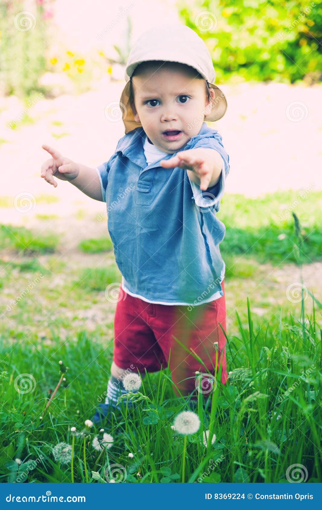 Baby asking help stock photo. Image of beautiful, child - 8369224