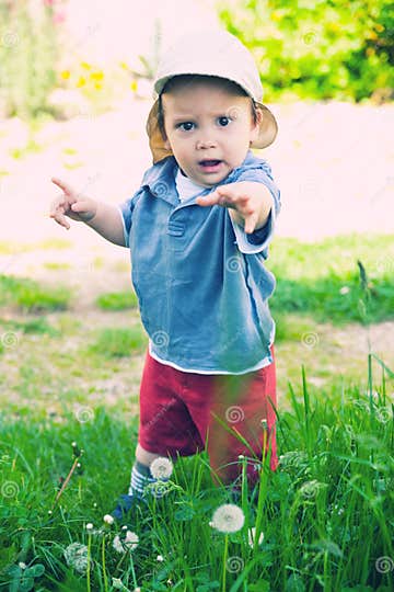 Baby asking help stock photo. Image of beautiful, child - 8369224