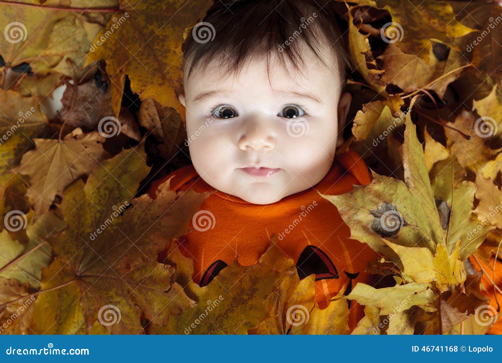 Baby autumn leaf stock photo. Image of leaf, halloween - 46741168
