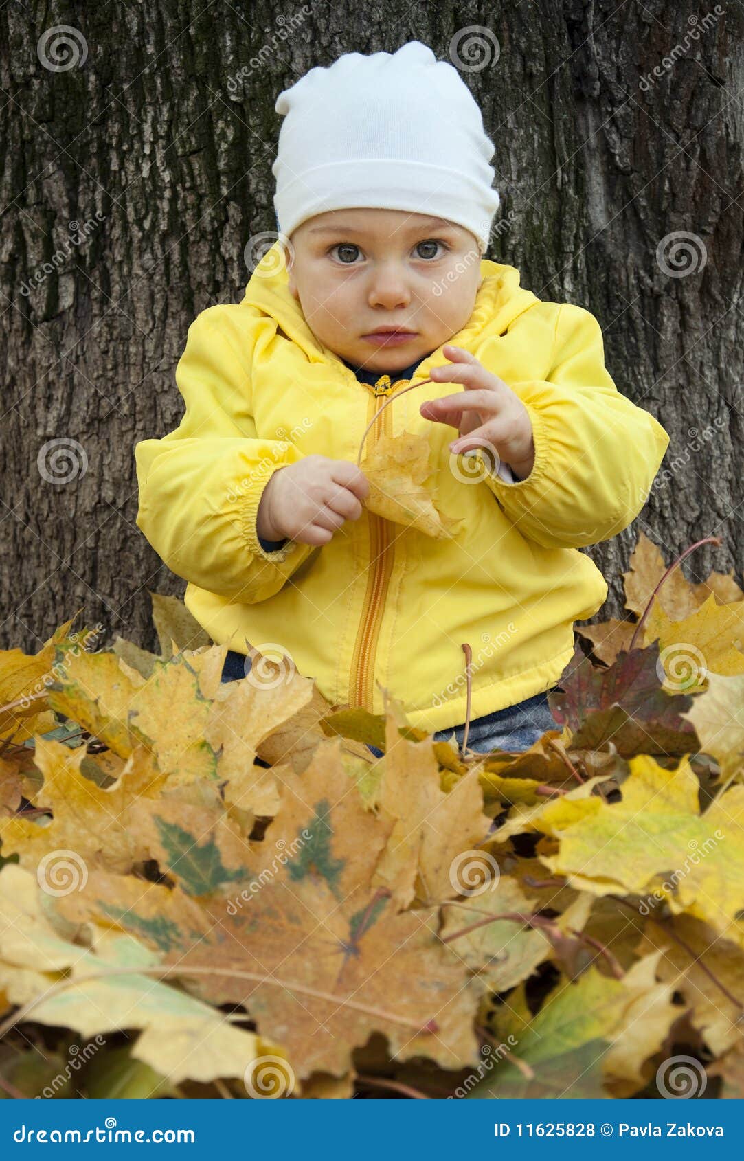 Baby and autumn leaves stock photo. Image of little, play - 11625828