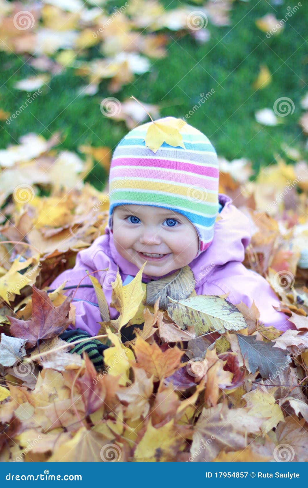 Baby in autumn leaves stock image. Image of outdoor, nature - 17954857
