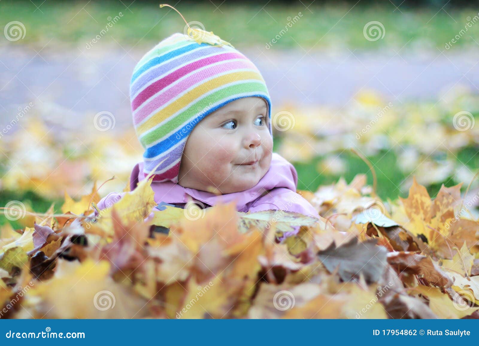 Baby in autumn leaves stock photo. Image of pile, playing - 17954862