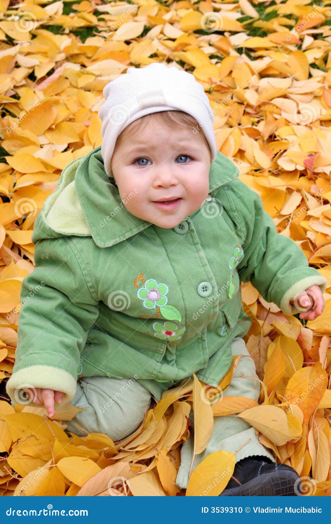 Baby in autumn leaves stock photo. Image of happy, nose - 3539310