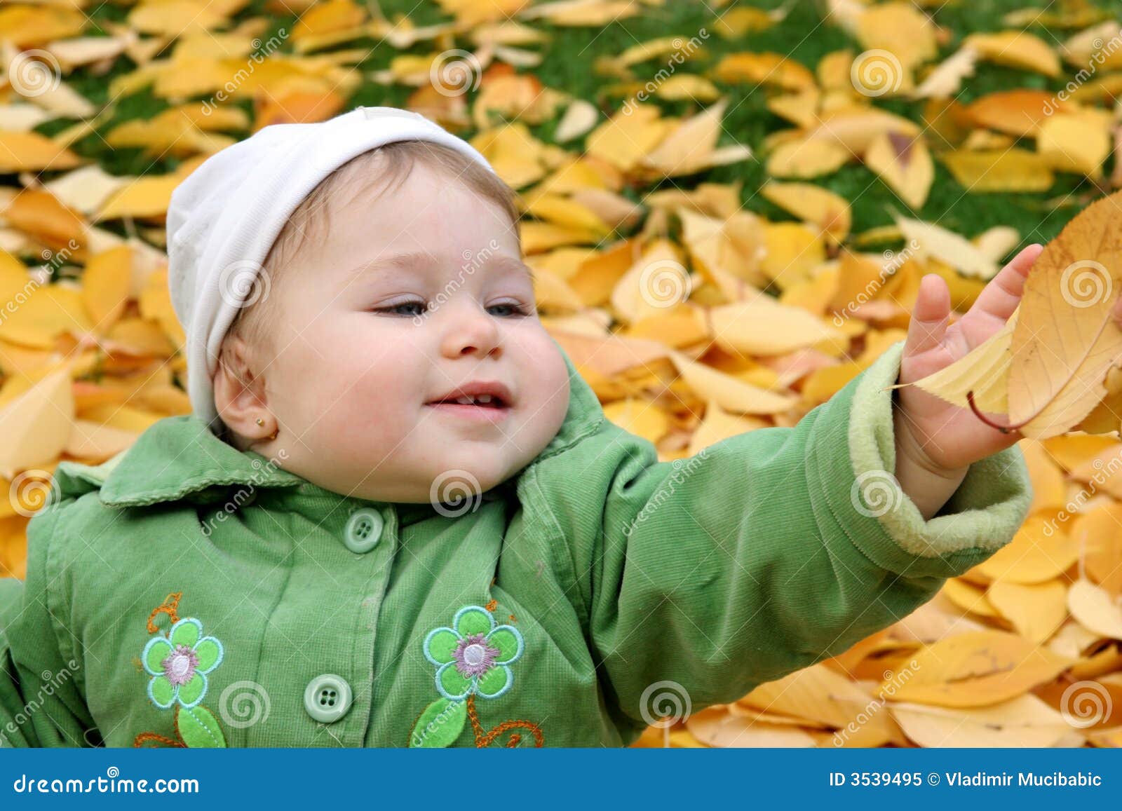 Baby in autumn leaves stock image. Image of cheerful, infant - 3539495