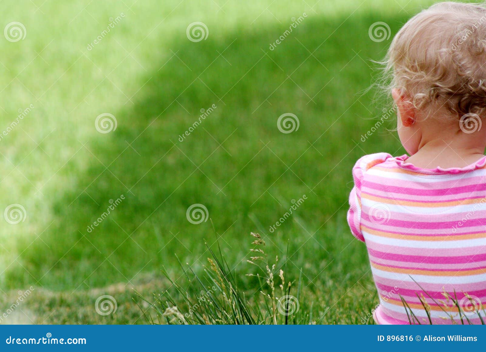 Baby Back stock photo. Image of special, hair, grass, adorable - 896816