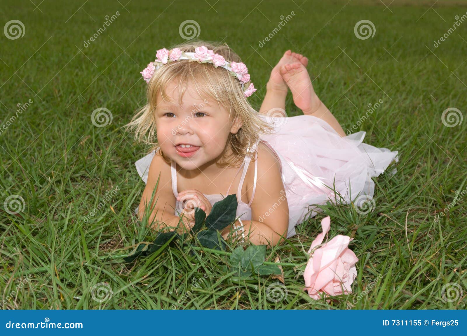 Baby Ballerina stock image. Image of adorable, warm, rose - 7311155