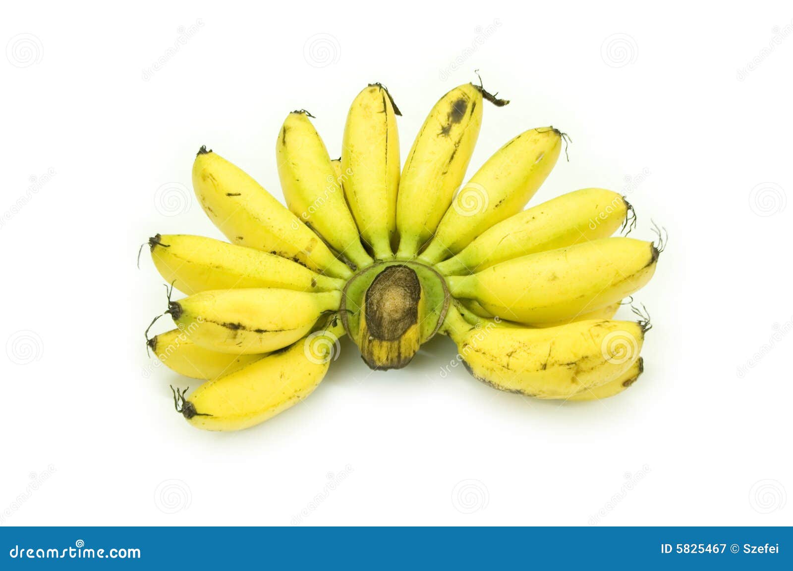 Baby Bananas stock image. Image of bunch, group, groceries - 5825467
