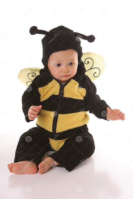 Baby bee sitting stock photo. Image of studio, baby, person - 2589706