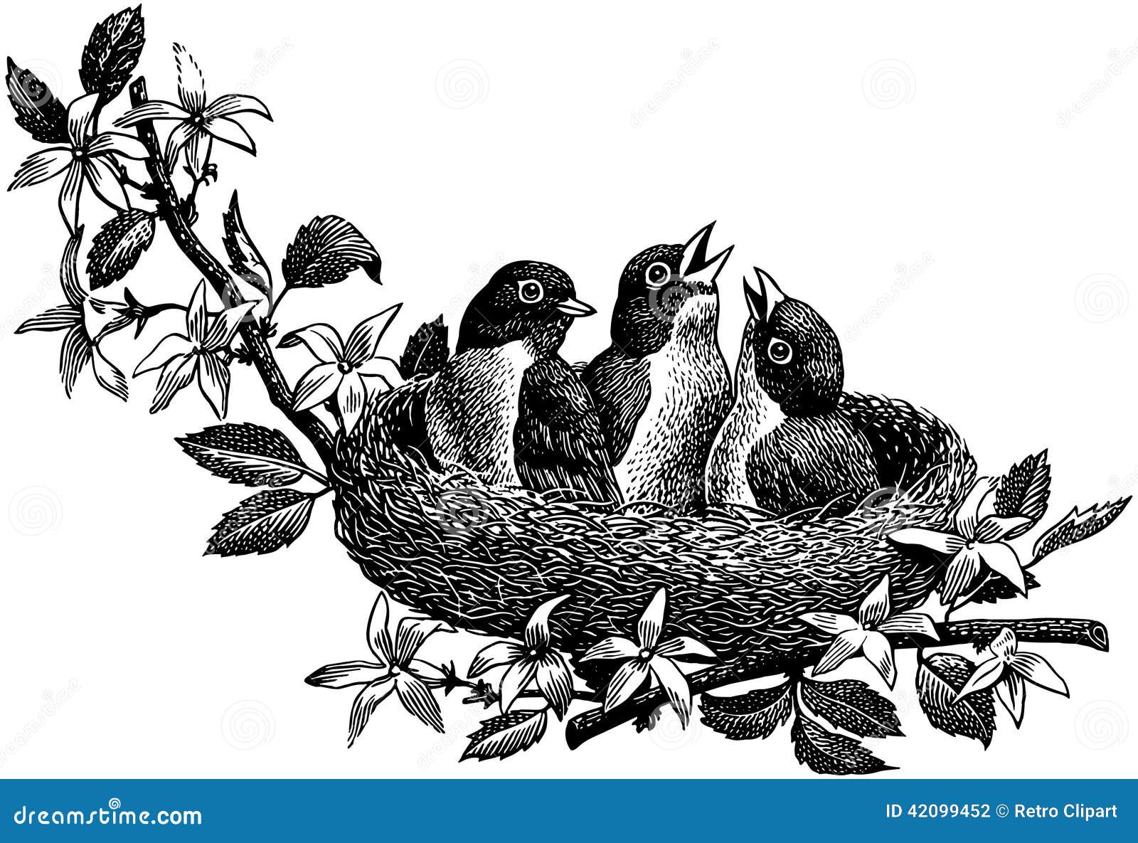 Baby Birds stock vector. Illustration of baby, clip, straw - 42099452