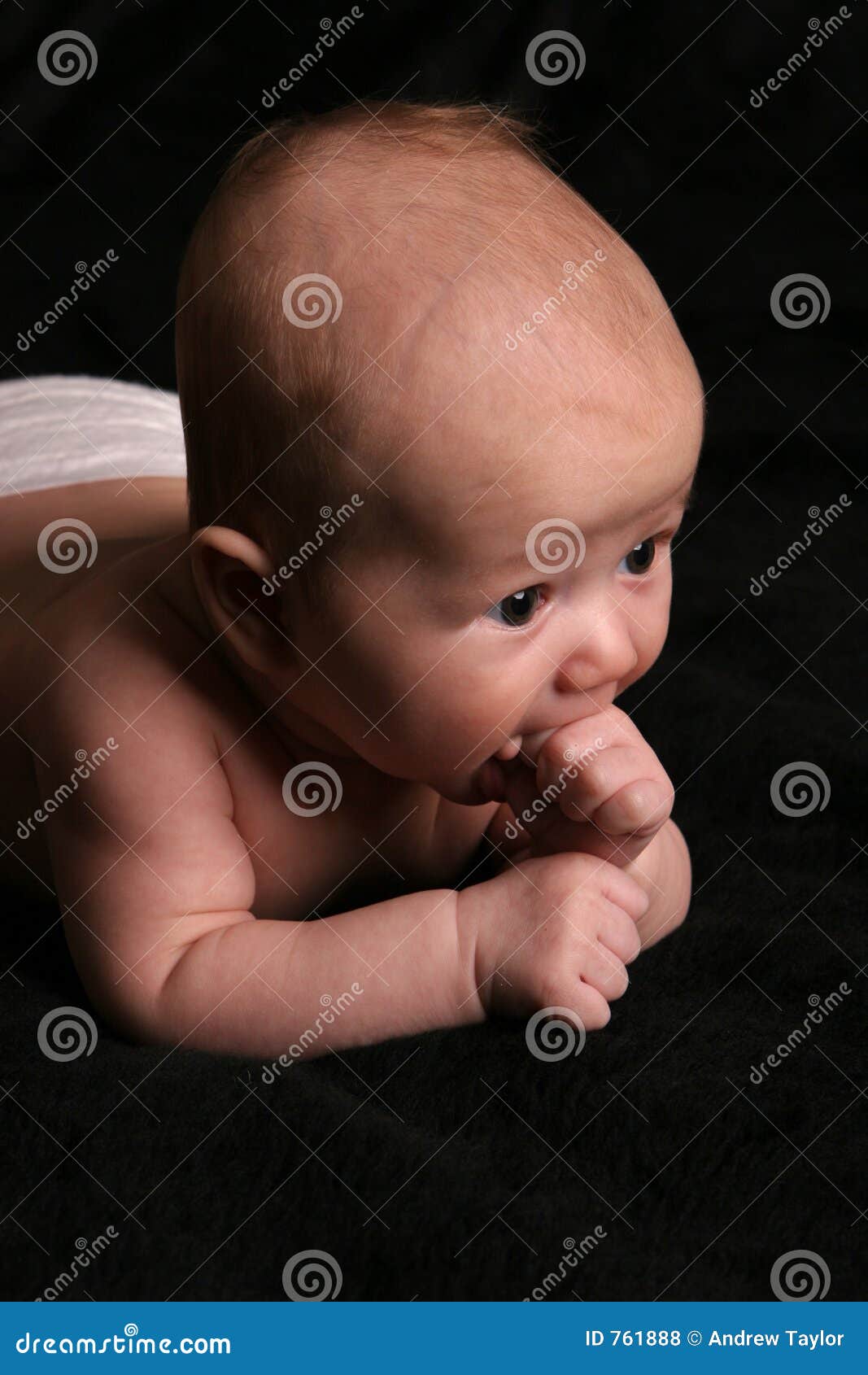 Baby on black far stock photo. Image of child, thumb, comfort - 761888