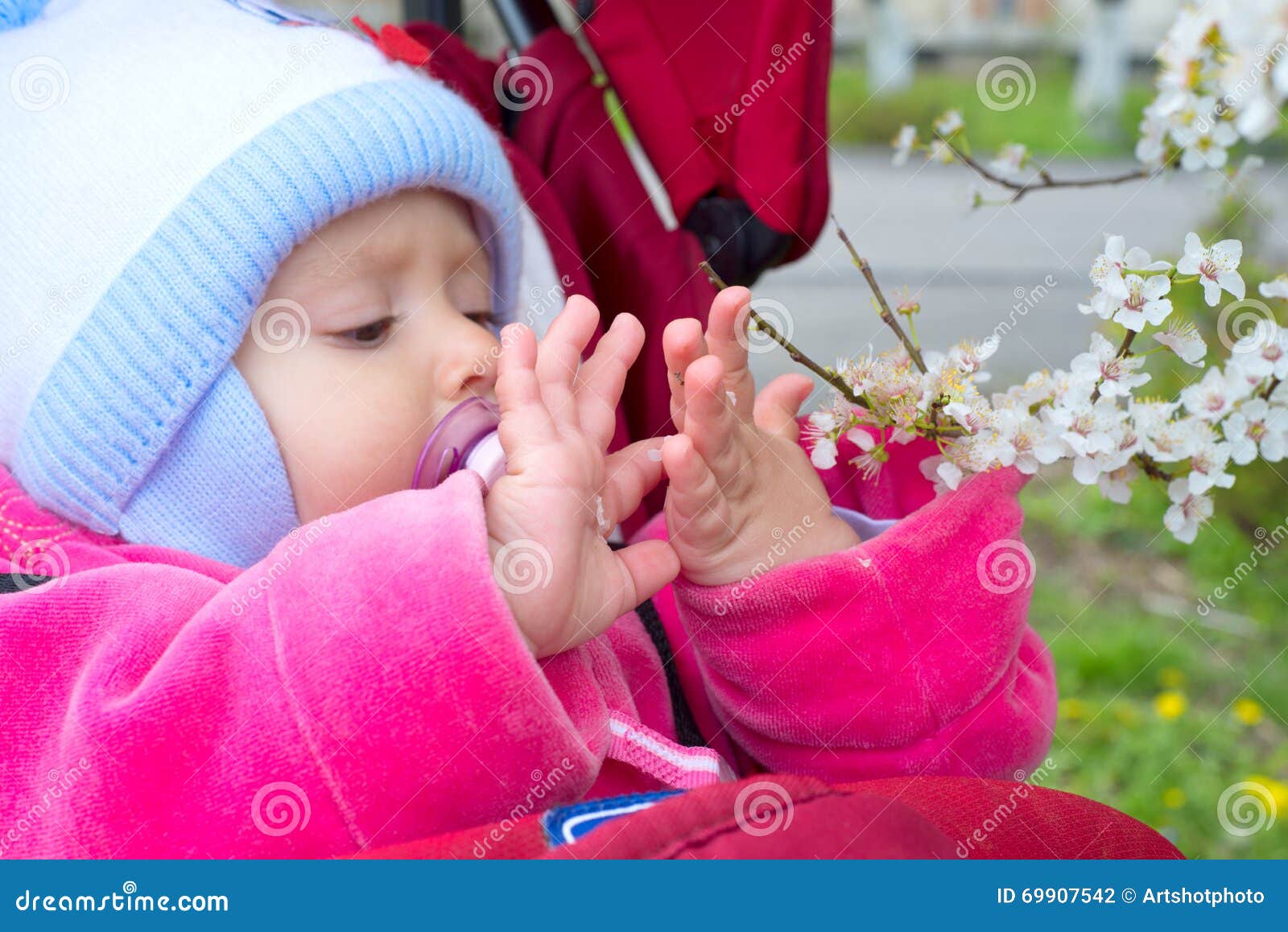 Baby with a Blossoming Branch Stock Photo - Image of childhood, blossom ...