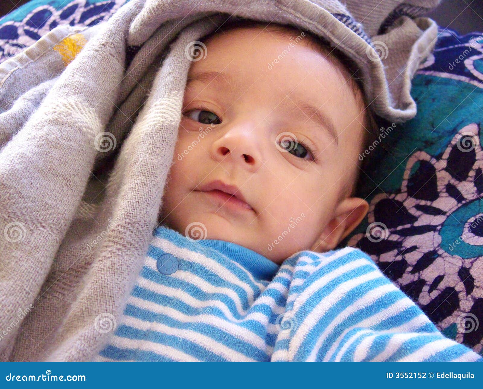 Baby Blue Picture. Image: 3552152