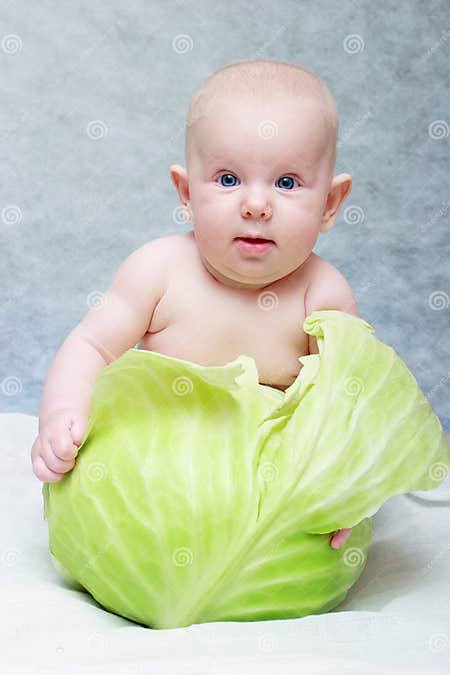 Baby born from cabbage stock photo. Image of closeup, daughter - 1458202