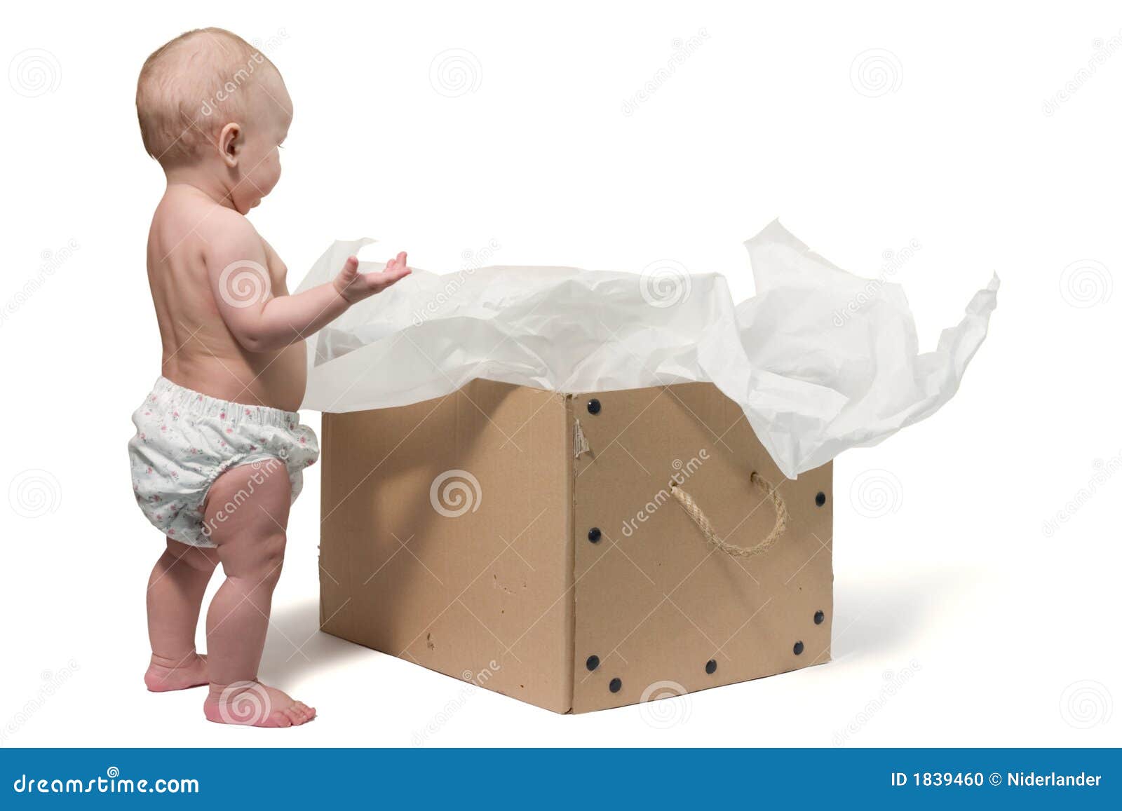 Baby and the box stock photo. Image of baby, birthday - 1839460