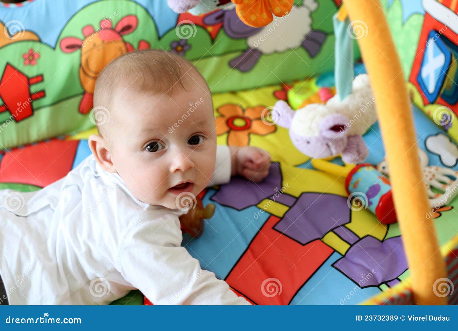 Baby in box stock afbeelding. Image of babybox, kind - 23732389