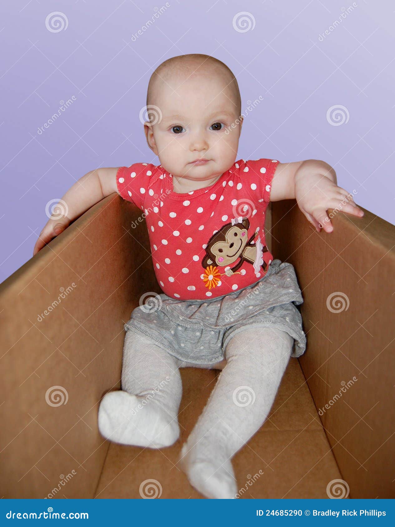 Baby in box stock photo. Image of build, cardboard, play - 24685290