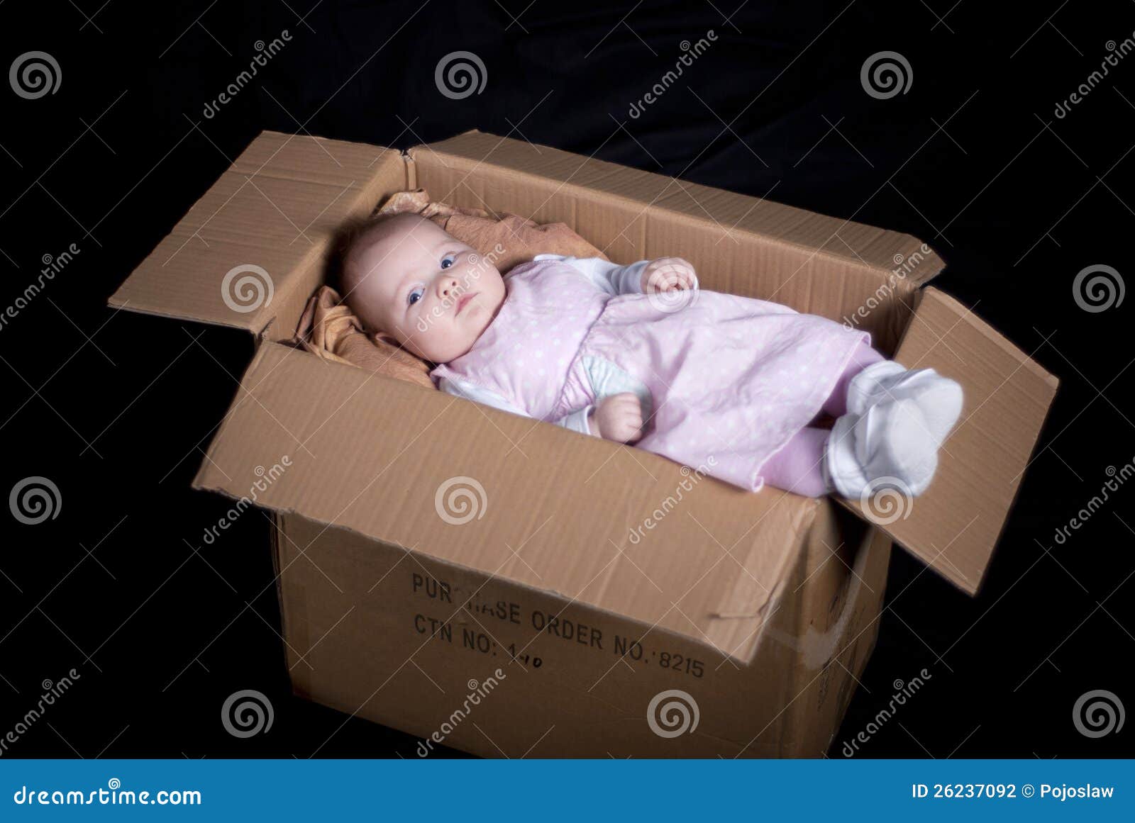 Baby in box stock photo. Image of life, little, happy - 26237092