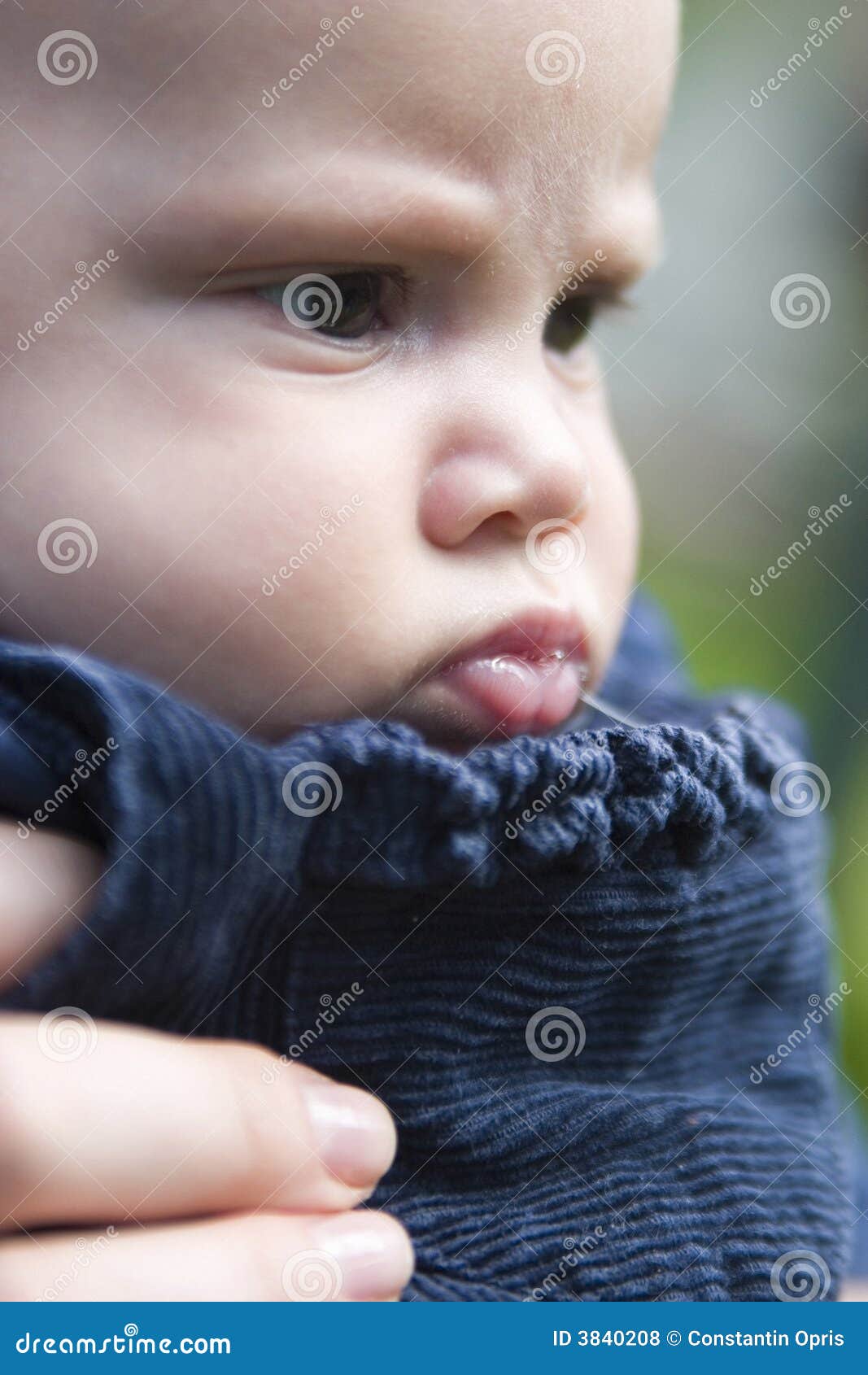 Baby boy stock photo. Image of facial, portrait, pout - 3840208