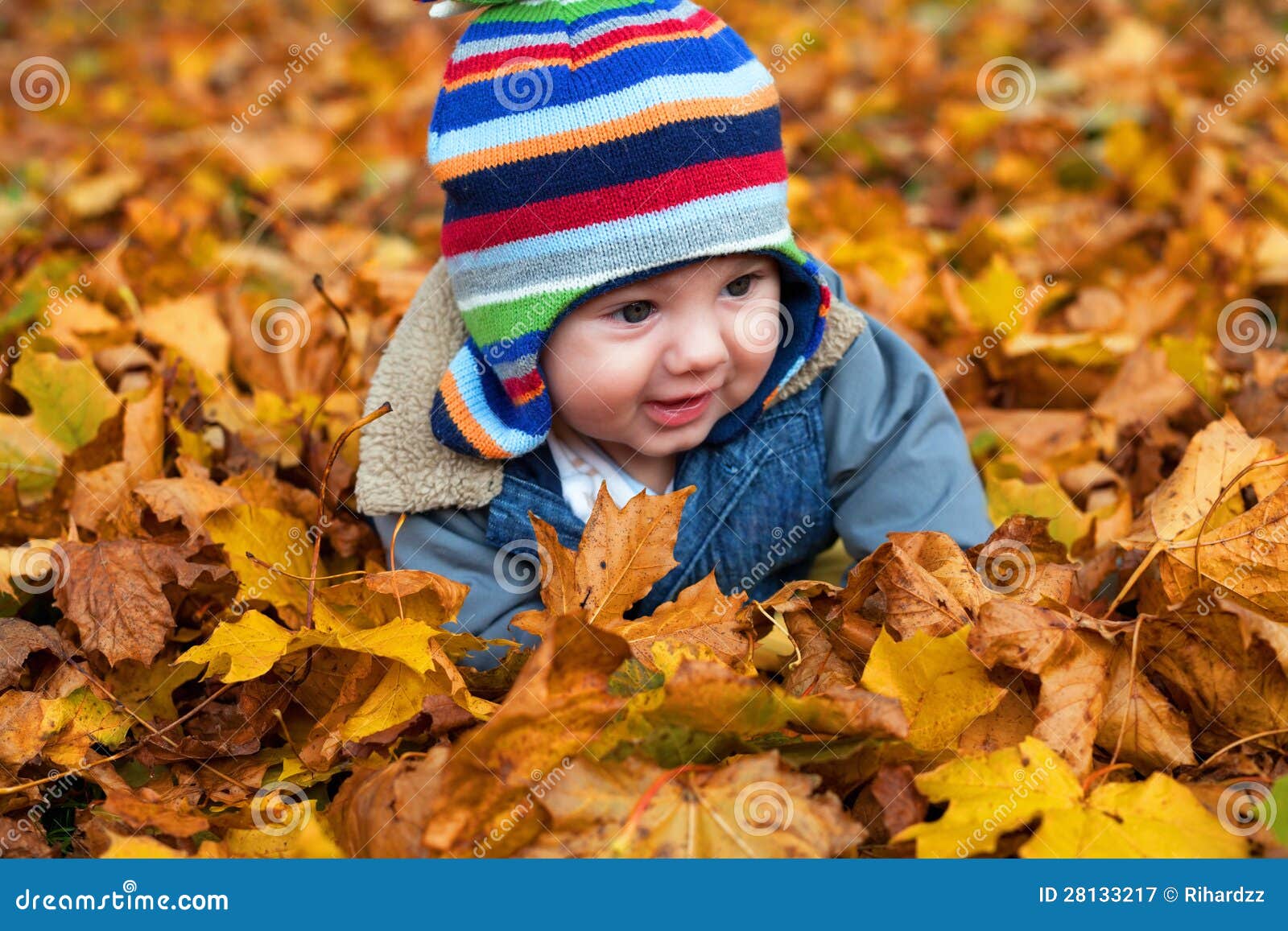 Baby boy in autumn leaves stock image. Image of grin - 28133217