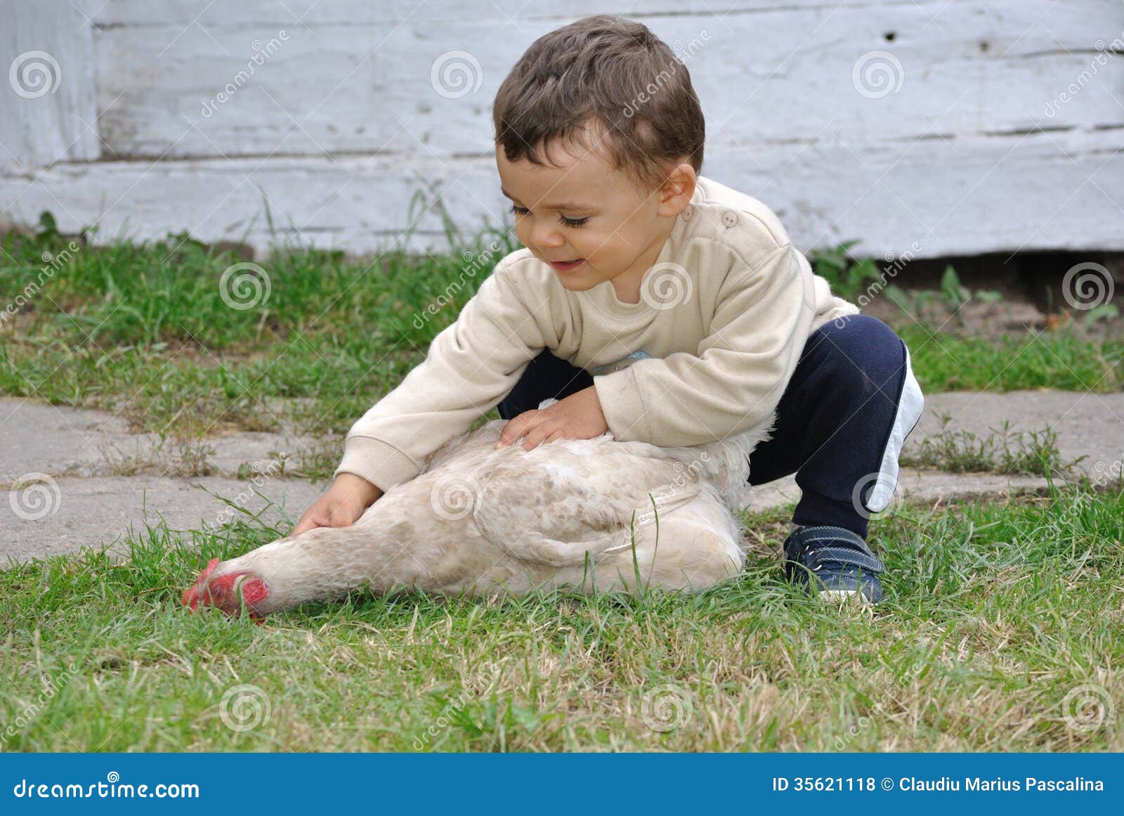 Baby boy with chicken stock photo. Image of healthy, child - 35621118