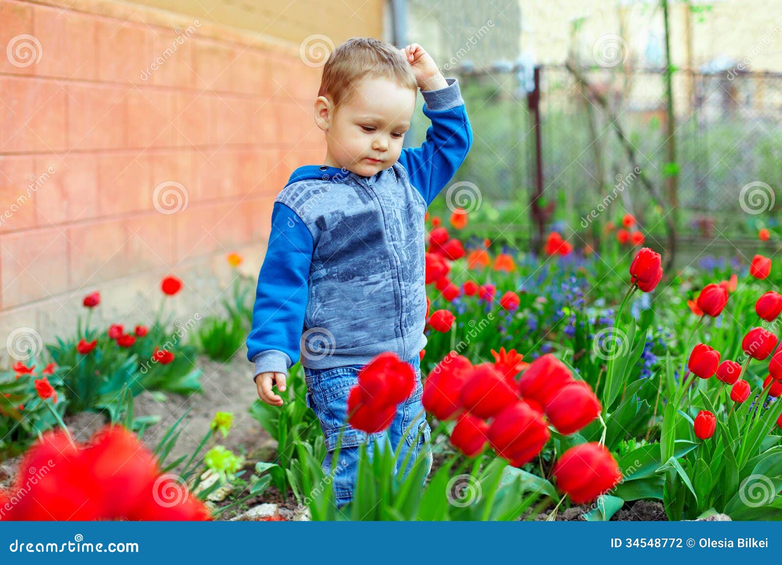 Baby Boy in Colorful Spring Garden Stock Photo - Image of season ...