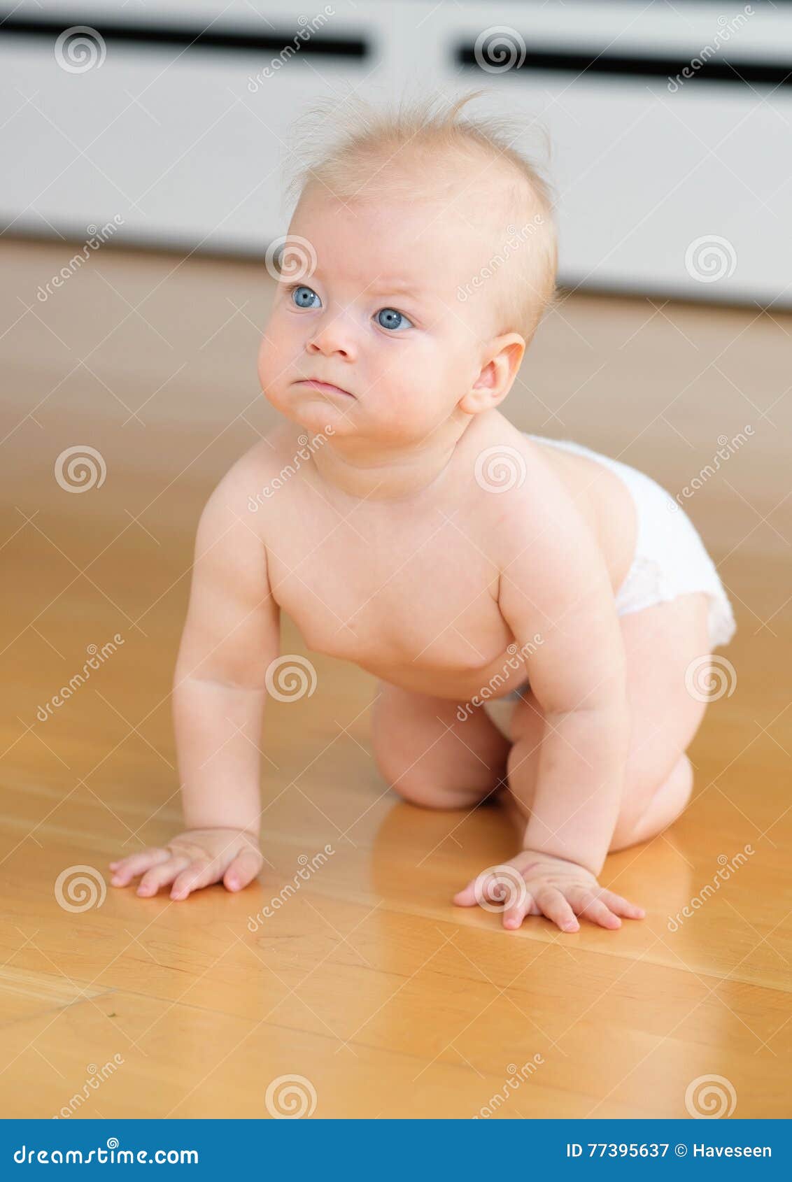 Baby boy crawling stock image. Image of blue, baby, family - 77395637