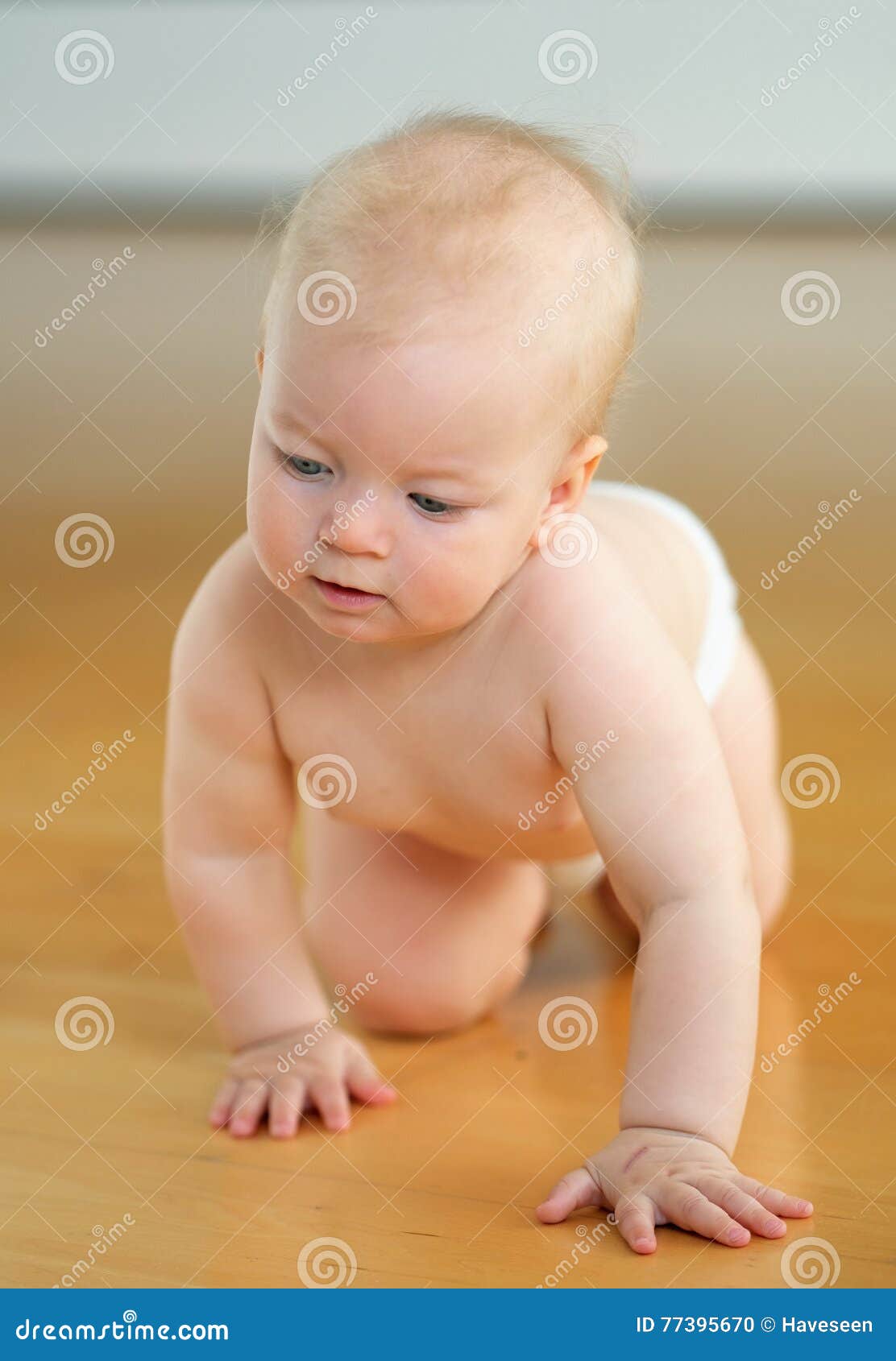 Baby boy crawling stock photo. Image of child, resting - 77395670