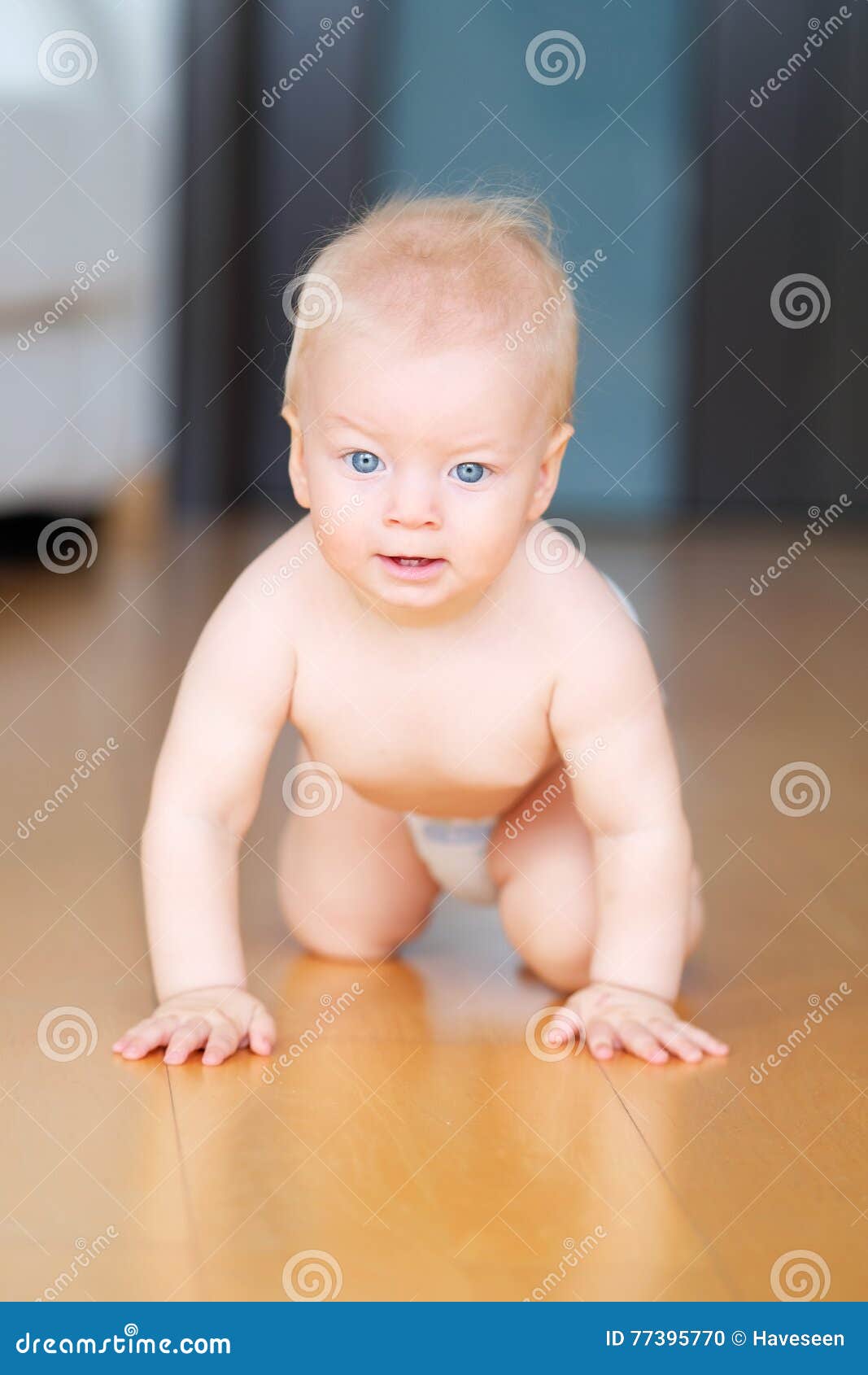 Baby boy crawling stock photo. Image of home, newborn - 77395770