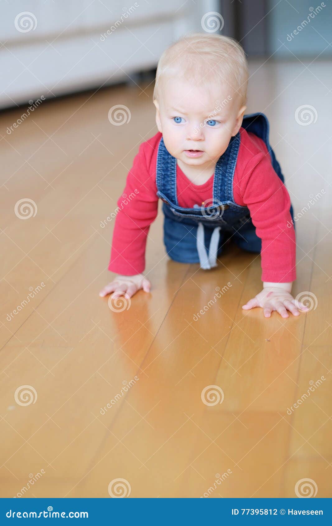 Baby boy crawling stock photo. Image of happiness, indoor - 77395812