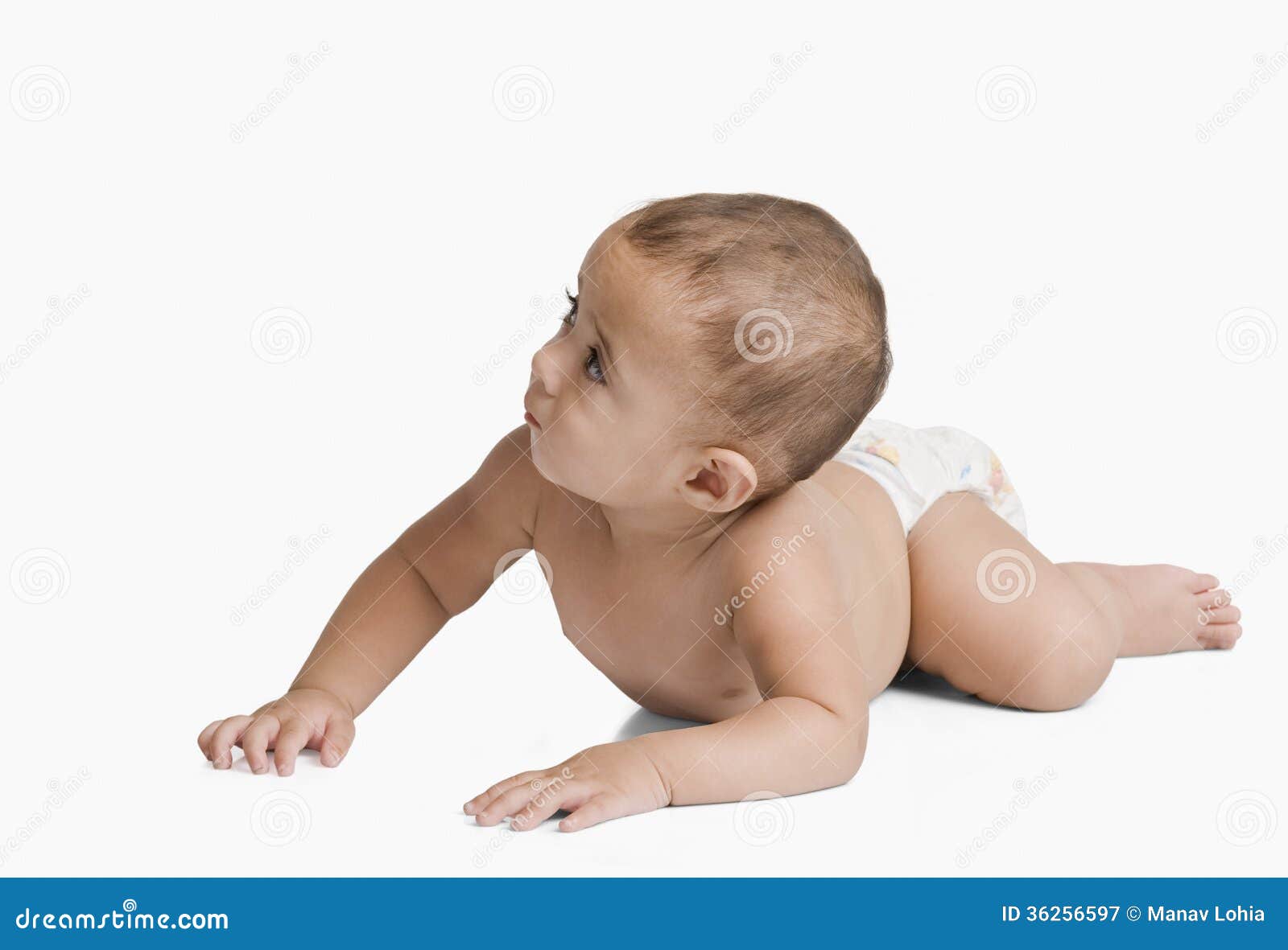 Baby boy crawling stock image. Image of person, white - 36256597