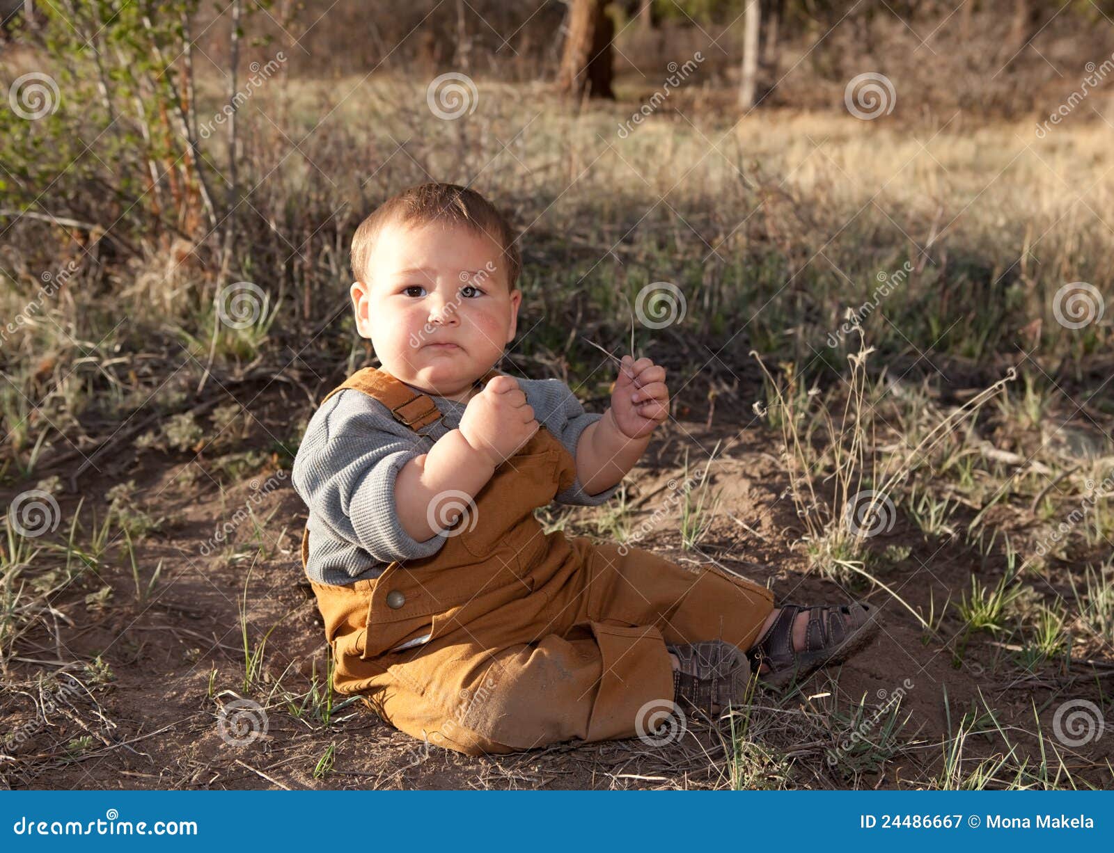 Baby Boy in Early Spring Nature Stock Image - Image of american ...