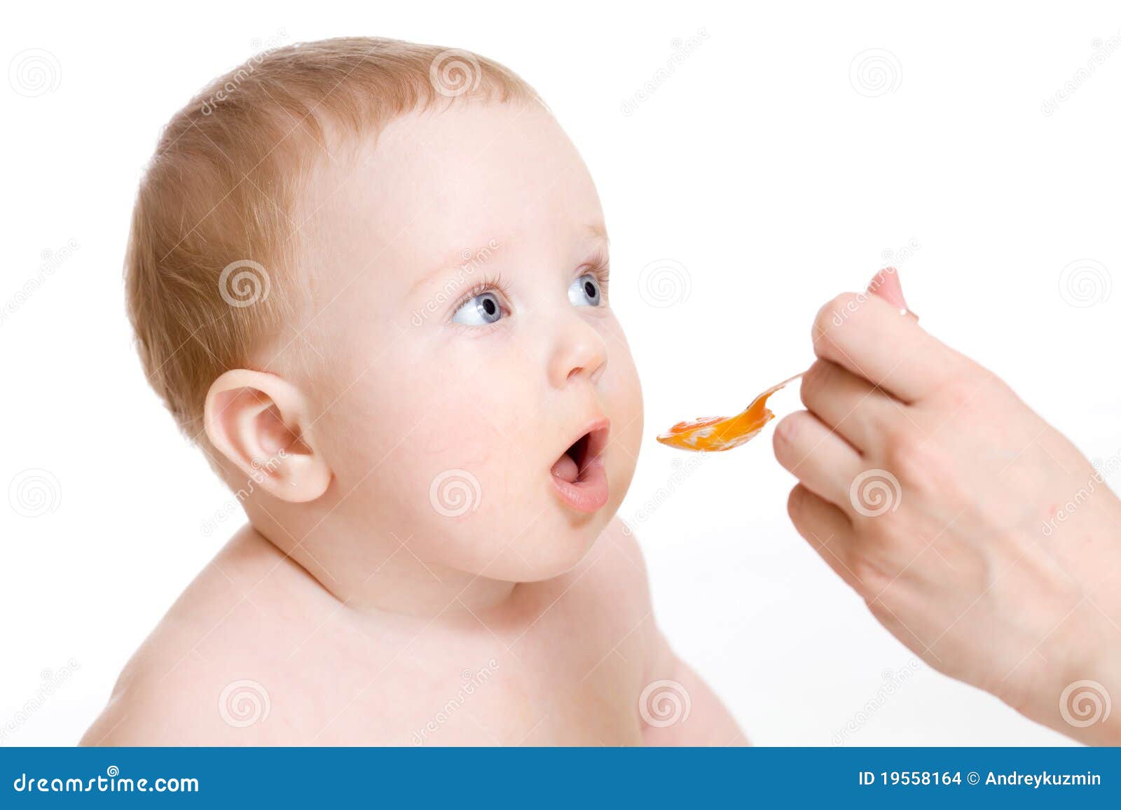 Baby boy feeding isolated stock photo. Image of baby - 19558164